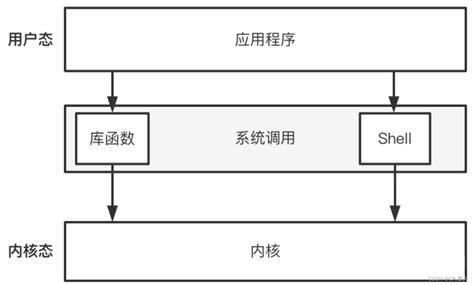 C Socket 定义与数据结构socket数据结构 Csdn博客