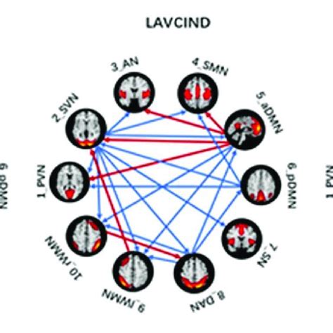 Statistical Group Differences In Intra And Internetwork Connectivity