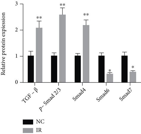 Expression of molecules related to TGF β signaling pathway Download Scientific Diagram