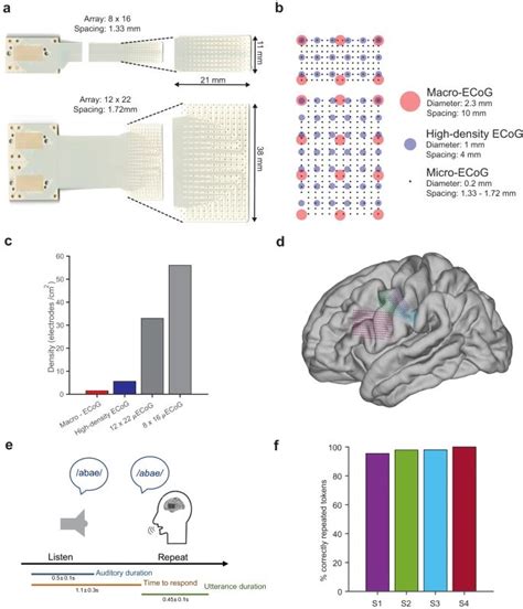 High Resolution Neural Recordings Improve The Accuracy Of Speech