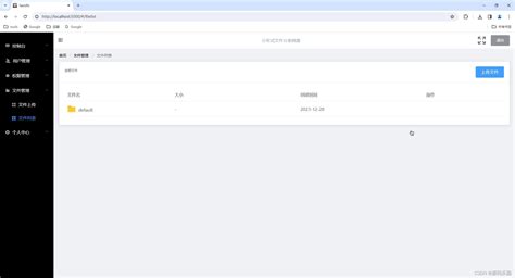 基于springboot mysql vue的分布式文件分享网盘系统 springboot vue3 element plus打造私人分布式