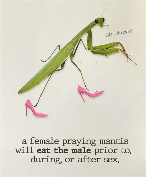 Venusia Novacane Spaceinvaderbabe • Instagram Photos And Videos