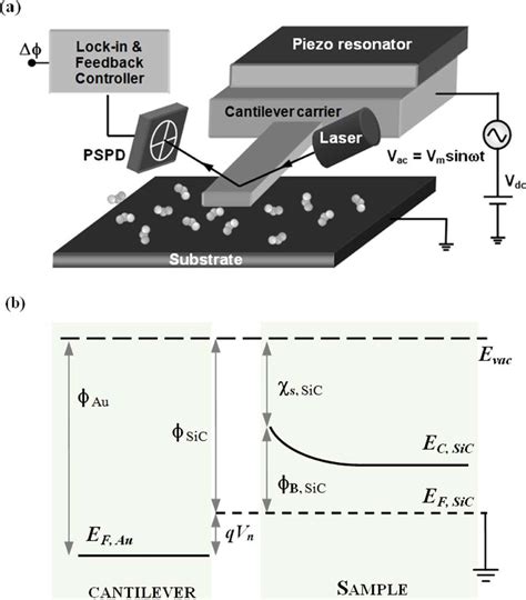 Color Online A Experimental Setup Diagram For Potentiometric Download Scientific Diagram