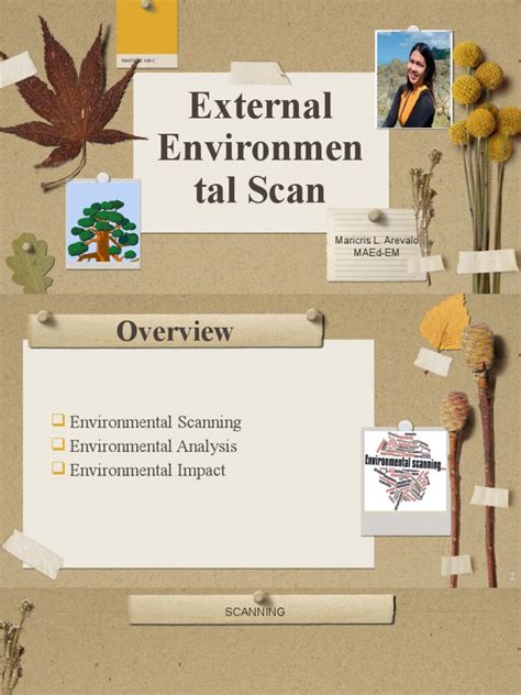 External Environmental Scan Pdf
