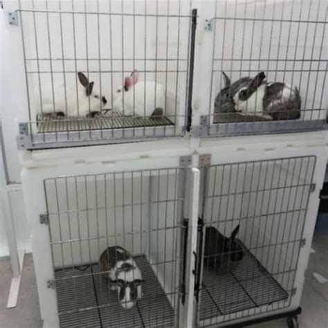 D Drilling Sequence E Drilling Sequence 2 Mm Drill Download