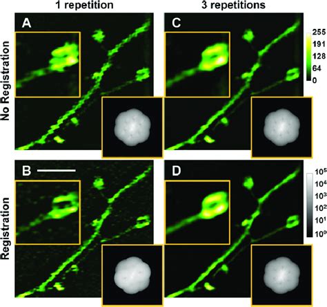 Strategies To Combat Motion Induced Artifacts For In Vivo Sim In The Download Scientific