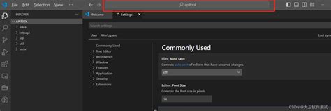 【vscode篇】配置相关问题汇总 csdn博客