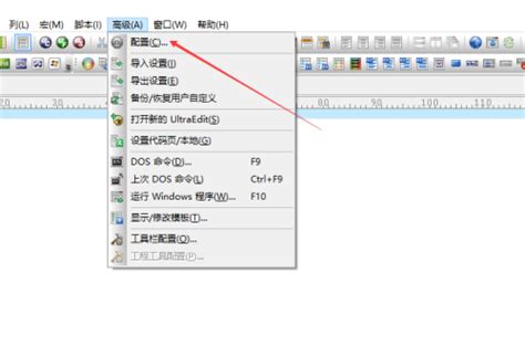Ultraedit怎么设置自动更新已更改的文件 系统屋