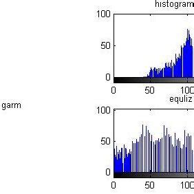 PDF Histogram Equalization And Noise Removal Process For Enhancement Of Image