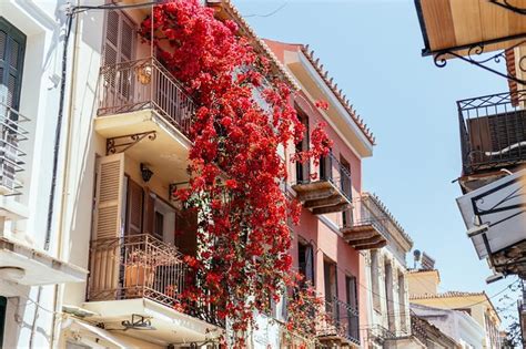 Ancient Delphi Private Day Trip Through Greek Mythology With A Local