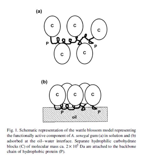 Science For Product Makers Know Your Cannabis Beverage Ingredients Gum Acacia