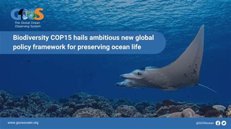 Global Ocean Observing System Goos On Linkedin Biodiversity Cop15