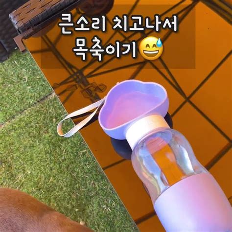 급히 계단 오르다가 다친 떡국이ㅠㅠ 병원 치료 받고 처방 받은 연고 열심히 바르는중이예요 Youtube