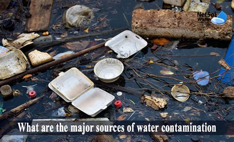 Five Sources Of Water Pollution And Describe Each
