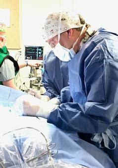 Heart Disease Diagnosis Cummings School Of Veterinary Medicine