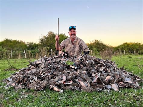 Argentina Dove Hunting