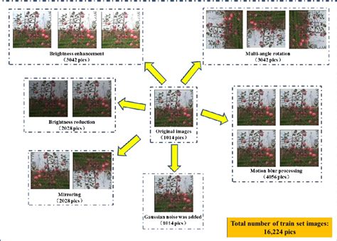 Figure 3 From A Real Time Apple Targets Detection Method For Picking