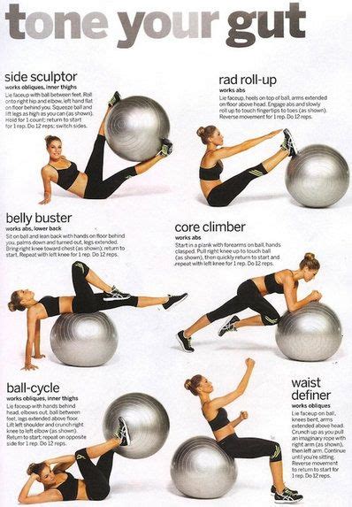 Rectus Abdominis Muscle Pain Exercises Function Workouts Action Updated