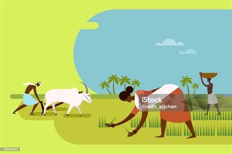 논 묘목을 심고 수송아지로 밭을 갈고 있는 농장 노동자들의 그림 인도 인도아 대륙에 대한 스톡 벡터 아트 및 기타 이미지 인도 인도아 대륙 농부 여자 Istock