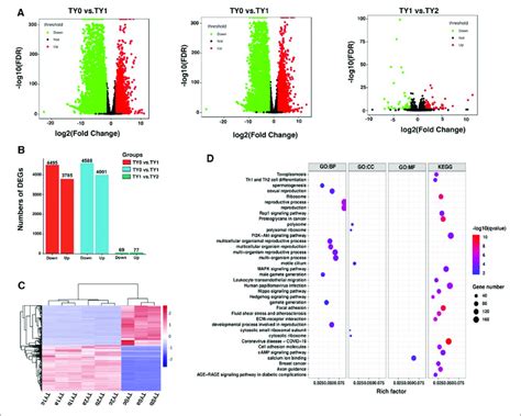 Differential Expression Analysis Of Rna Seq Data Among The Studied