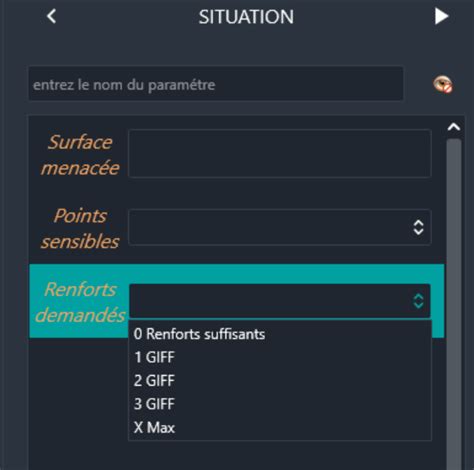 Les Masques De Saisie
