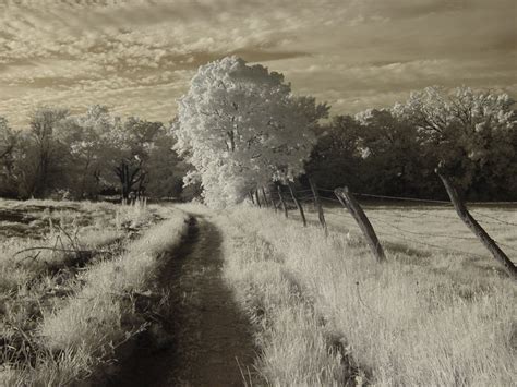 Infrared Scenes Stock Package By Usedtoit On Deviantart