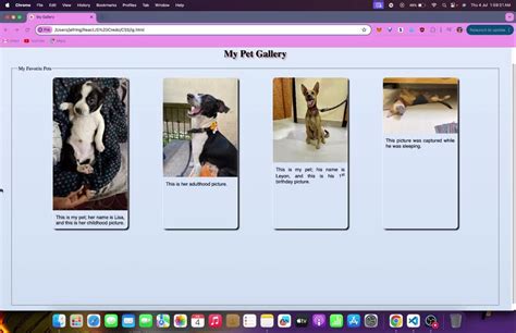 Jefrin G On Linkedin Linkedin Webdevelopment Html Css