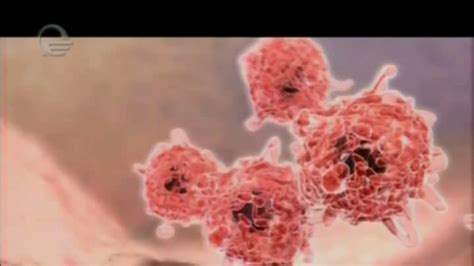 ჰარვარდის უნივერსიტეტის მეცნიერების აღმოჩენამ შესაძლოა მსოფლიო მედიცინა გადაატრიალოს