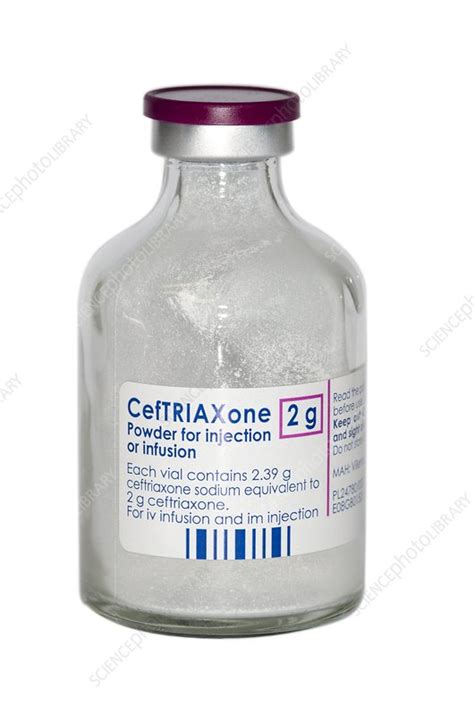 Ceftriaxone Antibiotic Drug Stock Image C0135843 Science Photo