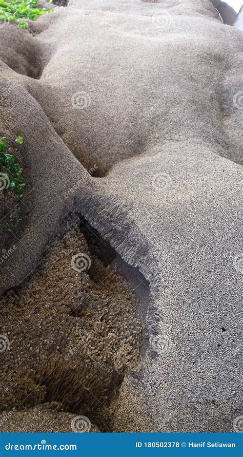 A Lying Naked Human Body Indonesia Beach Rock Formation By Erosion Stock Photo Image Of Human