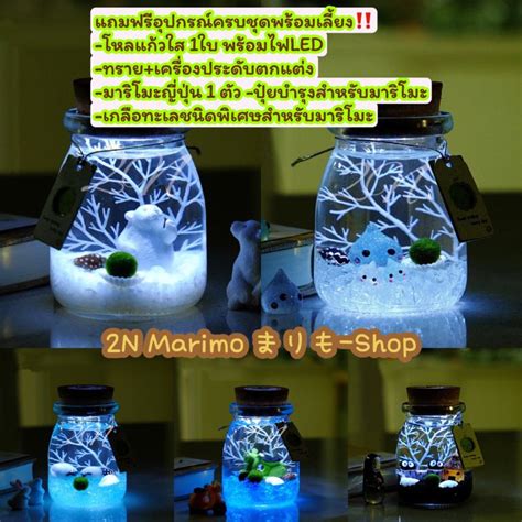 สินค้าพร้อมส่ง มาริโมะ Marimo Set Led แถมฟรีอุปกรณ์ครบชุดพร้อมเลี้ยง
