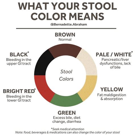 Bowel Movement Color Meanings