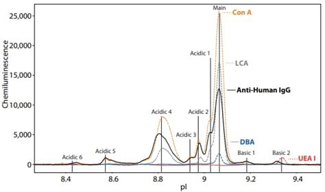 High Throughput Glycan Characterization Using Simple Western Bio Techne