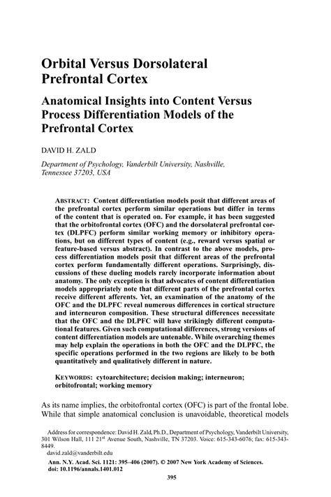 Orbital Versus Dorsolateral Prefrontal Cortex Anatomical Insights Into Content Versus Process