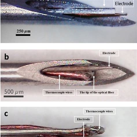 Custom Made Optrode An Optical Fiber Attached To A Tungsten Microwire