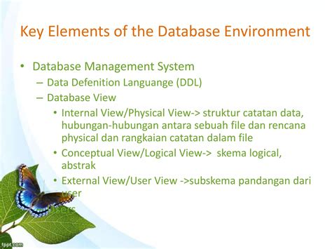 Auditing Database Systems Ppt