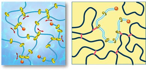 Recent Progress And Future Perspective In Slide Ring Based Polymeric Materials Macromolecules