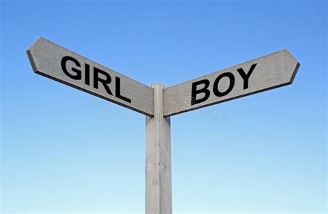 Boy Girl Gender Sign Male Female Arrows Stock Image Image Of Gender