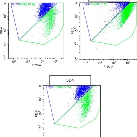 Analysis Of Mitochondrial Membrane Potential Of Compound 2j And Sd4