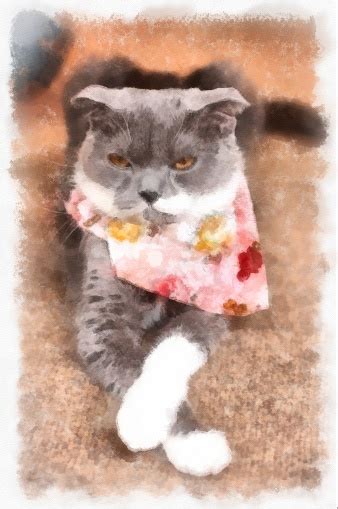 다양한 귀여운 고양이는 수채화 스타일 일러스트 인상파 그림을 포즈를 취합니다 갈색에 대한 스톡 벡터 아트 및 기타 이미지