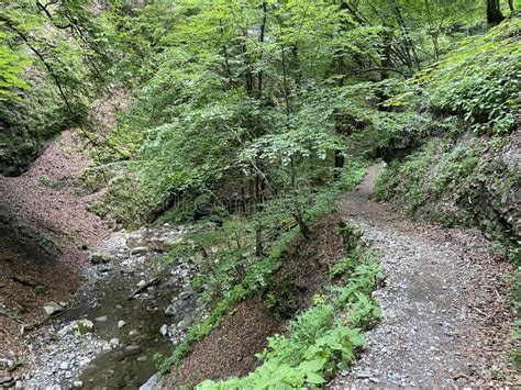 Special Geomorphological Reserve Devil`s Pass Canyon Or Devil`s Passage