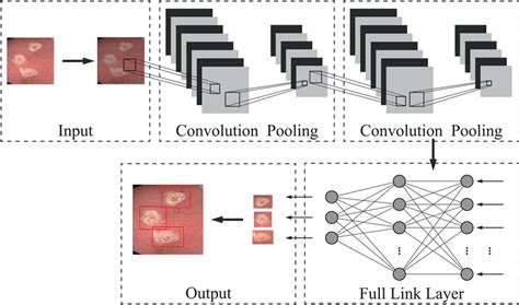 Schematic Diagram Of The CNN Process Download Scientific Diagram