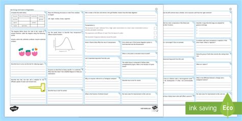 Aqa Biology Separate Gcse Unit 2 Organisation Revision Mat Review