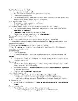 Microscope Lab Lab Questions And Answers Lab Microscope Laboratory Biology Prin I Studocu