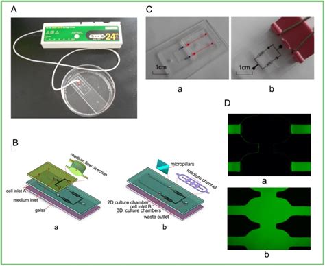 A Image Of The Microfluidic Device Mainly Composed Of A Double Layer