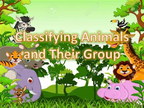 Animals Third Grade Pptx