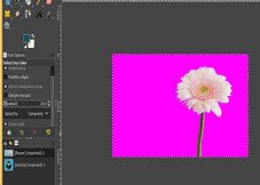 GIMP Remove Background Learn How To Remove Background In GIMP