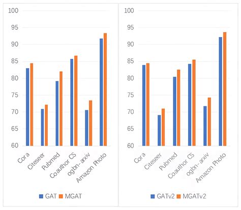 Mgats Motif Based Graph Attention Networks