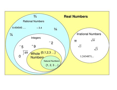 essay on rational numbers
