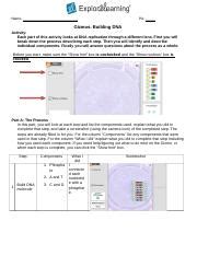 DNA Rep Gizmo Docx Name Pd Gizmos Building DNA Activity Each Part Of This Activity